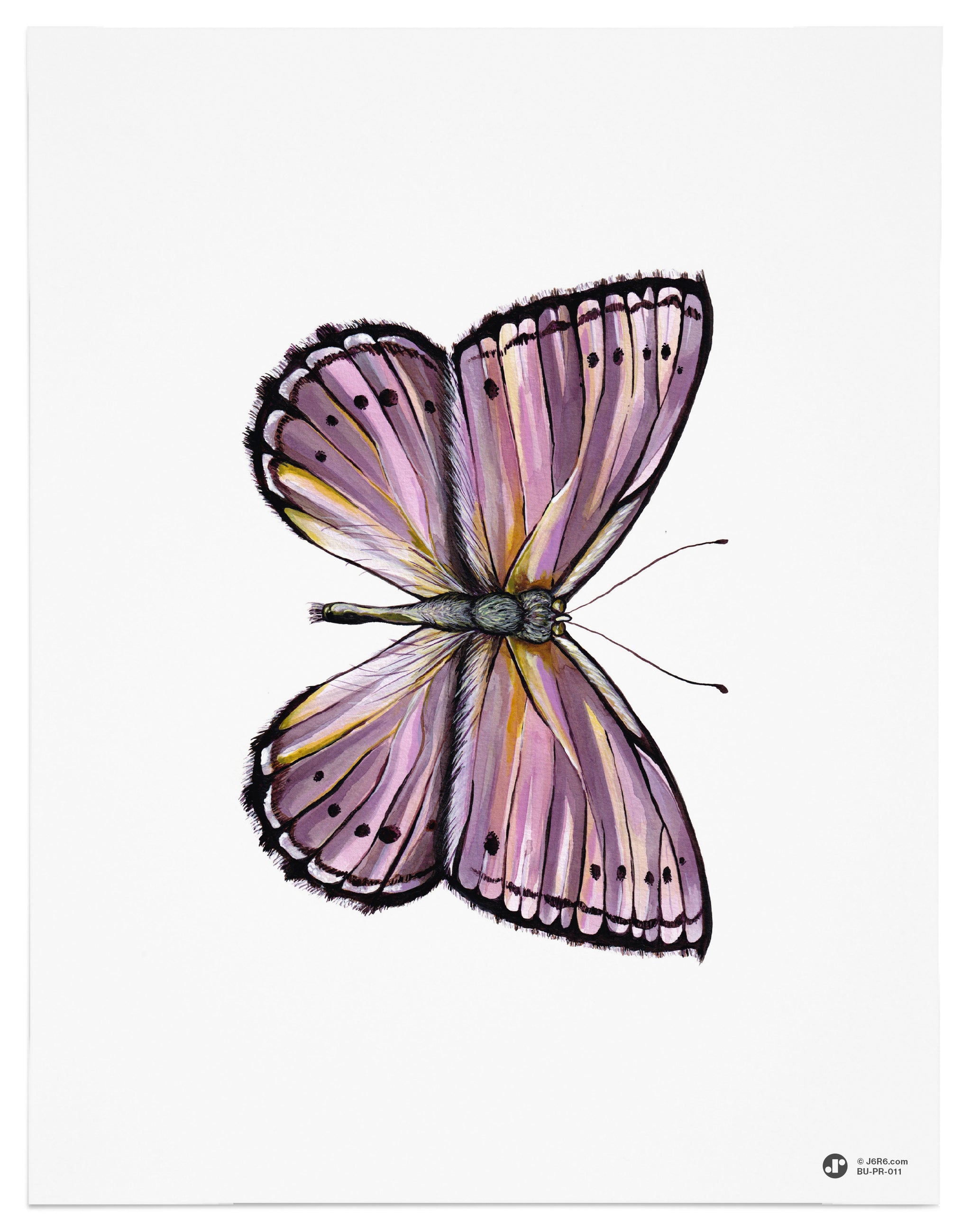Butterfly 11 Art Print – J6R6