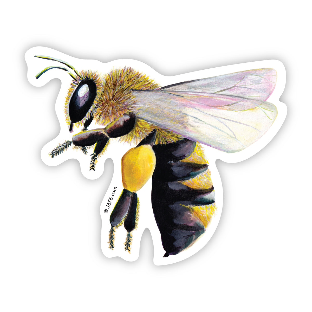 Bee Vinyl Sticker – J6R6
