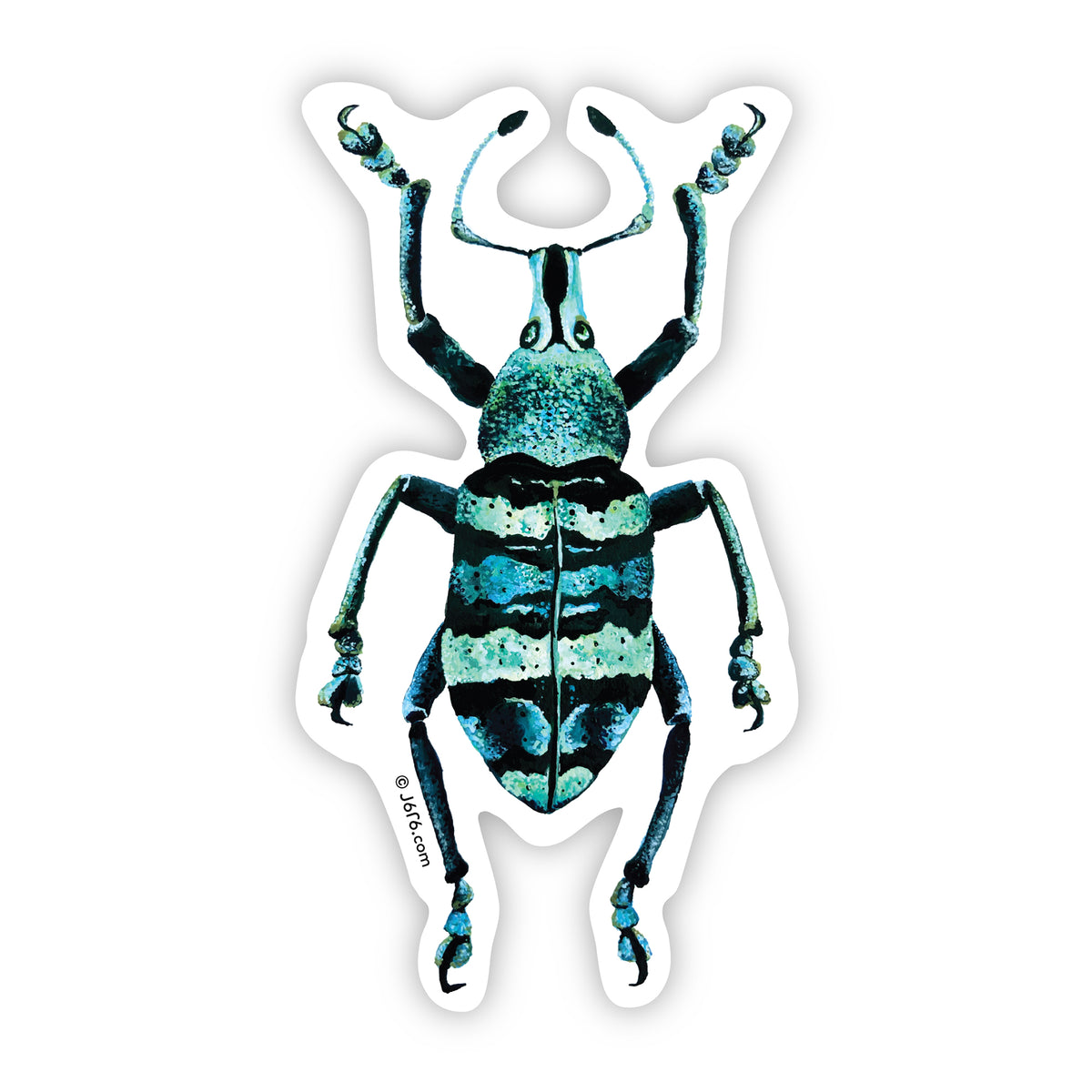 Weevil Bug Vinyl Sticker – J6R6
